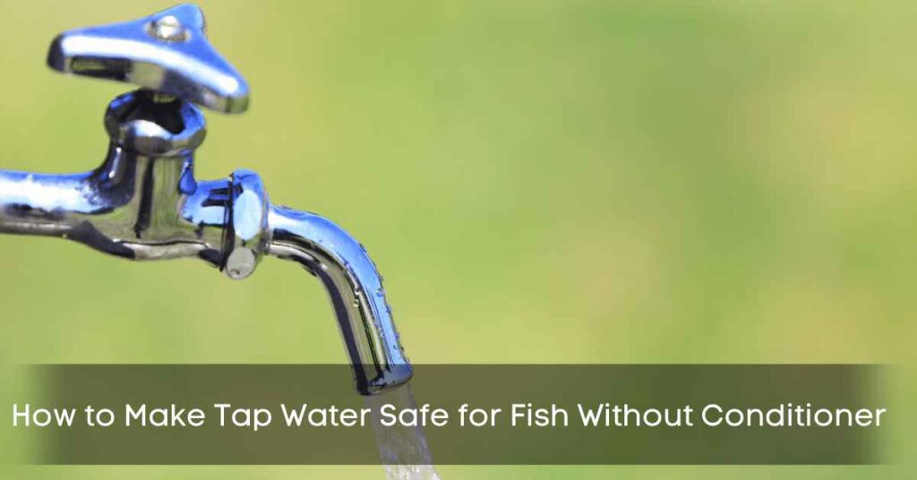 How to Make Tap Water Safe for Fish Without Conditioner (No More Chemicals)